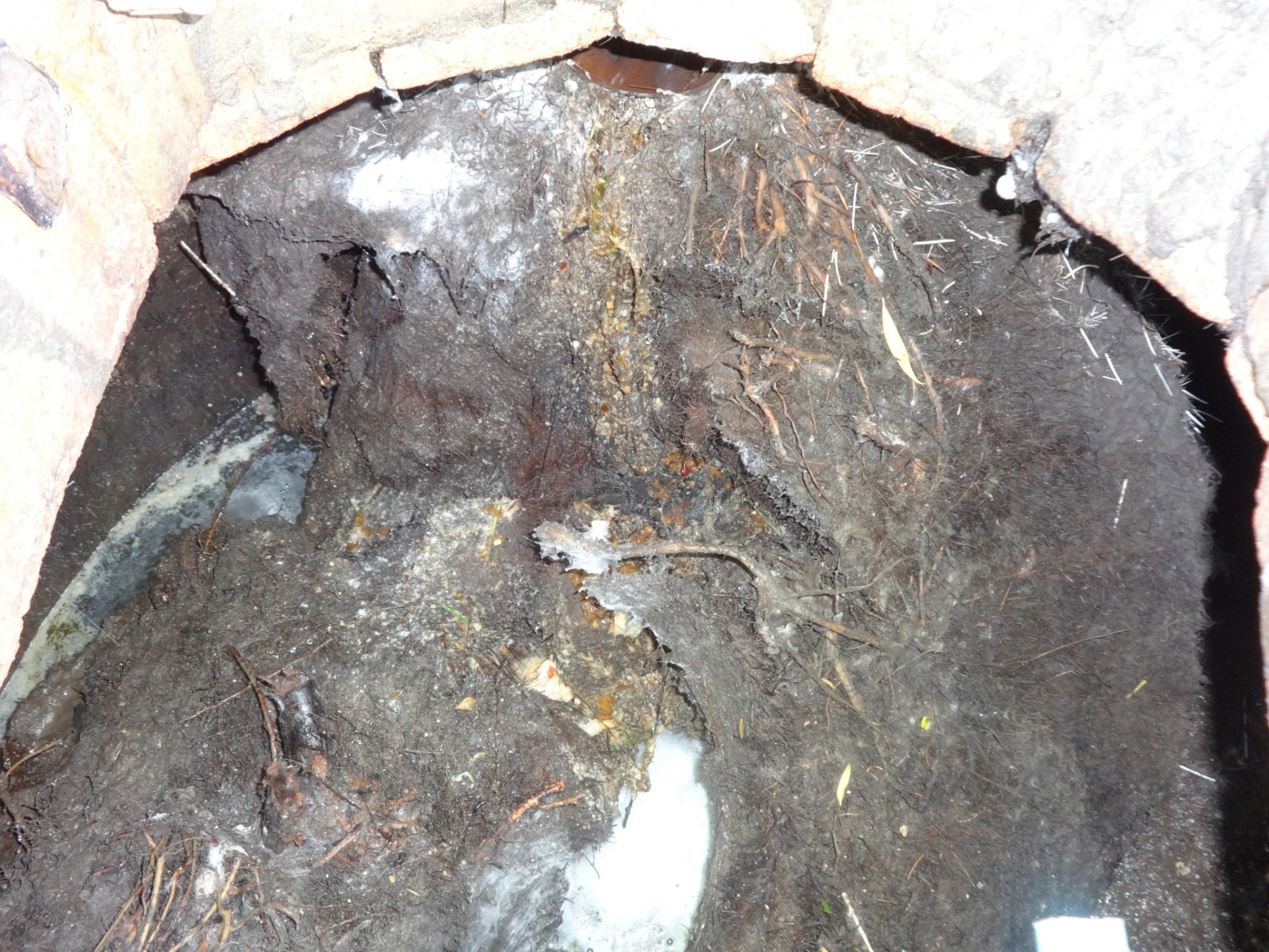 Septic Tank With Roots Mantair